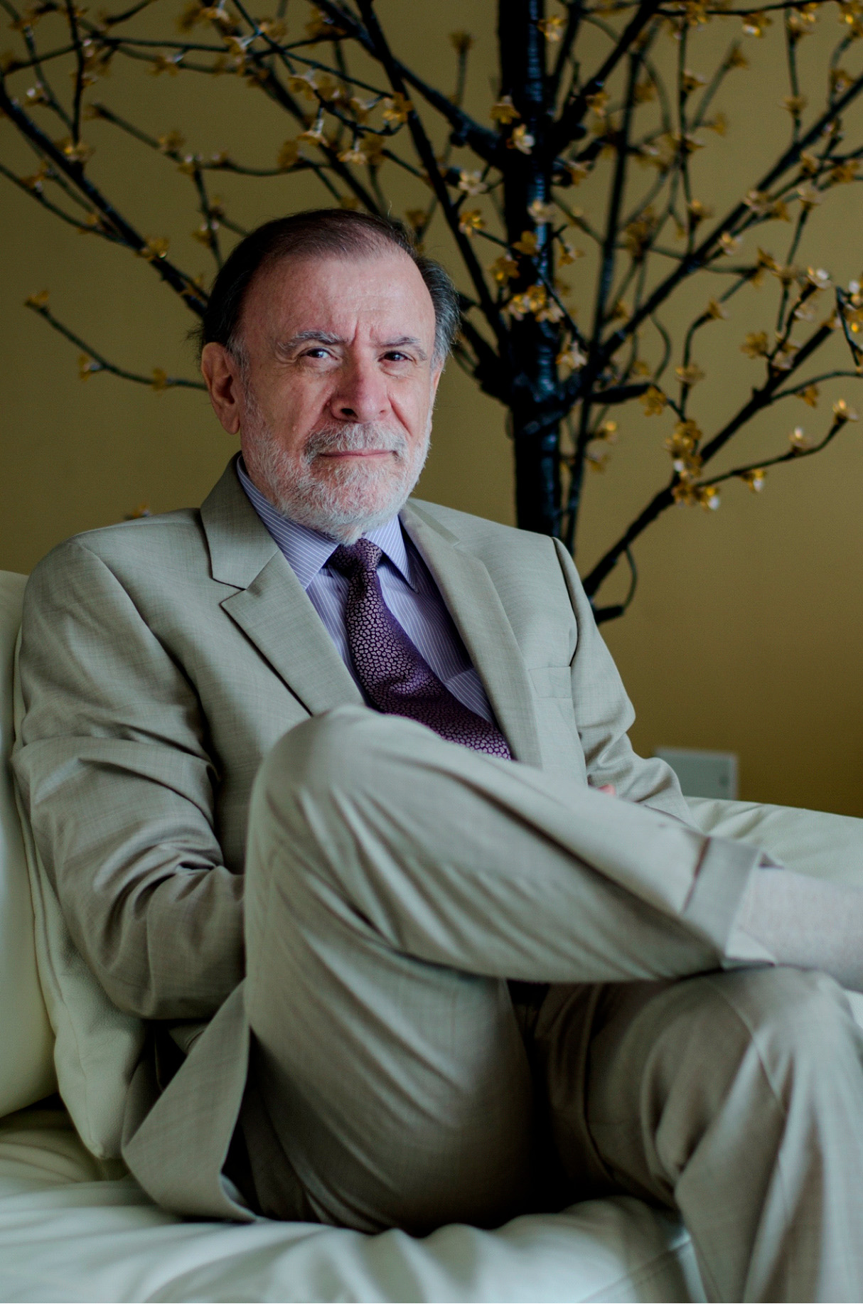 El Modelo Multi-Dimensional del Bienestar.